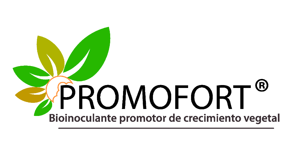 micrositio2021_innovacion_promofort - Educación Continua de la ...